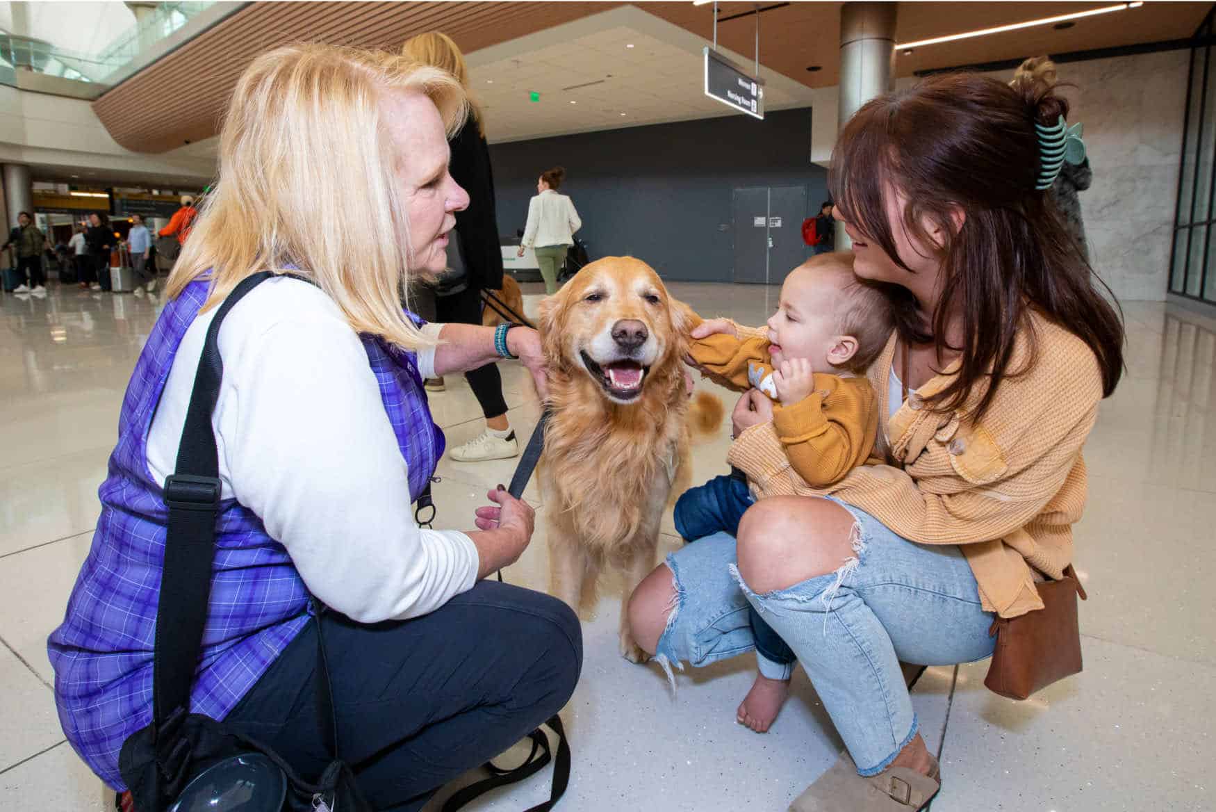 Canine Airport Therapy Squad | Denver International Airport